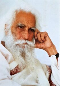 Brushstrokes of Divinity: Sobha Singh's Artistic Legacy - Hill Post